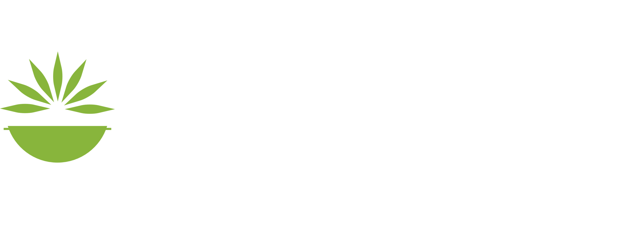 MIYO Sushi