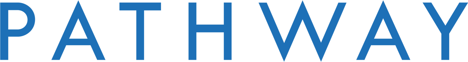 Pathway – Risk Management and Security Services