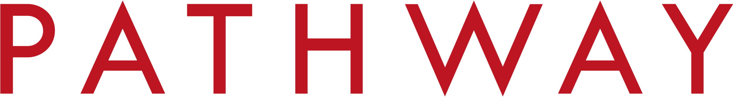 Pathway – Risk Management and Security Services