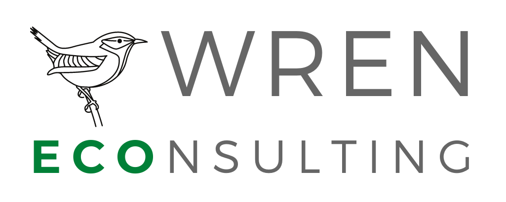 Wildlife Tours | Lake District & Morecambe Bay | Wren ECOnsulting ...