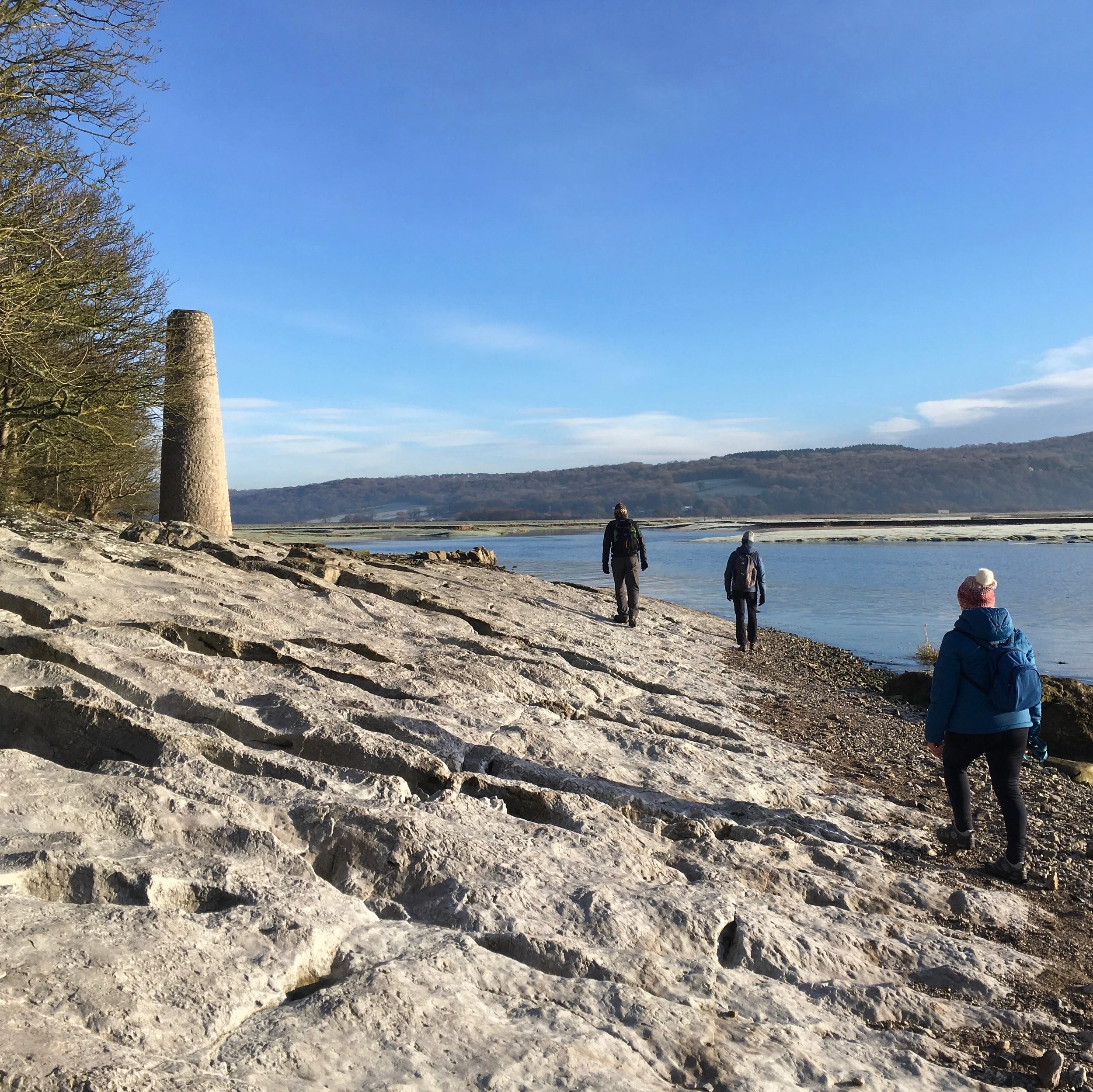 Wildlife Tours | Lake District & Morecambe Bay | What makes a Landscape ...