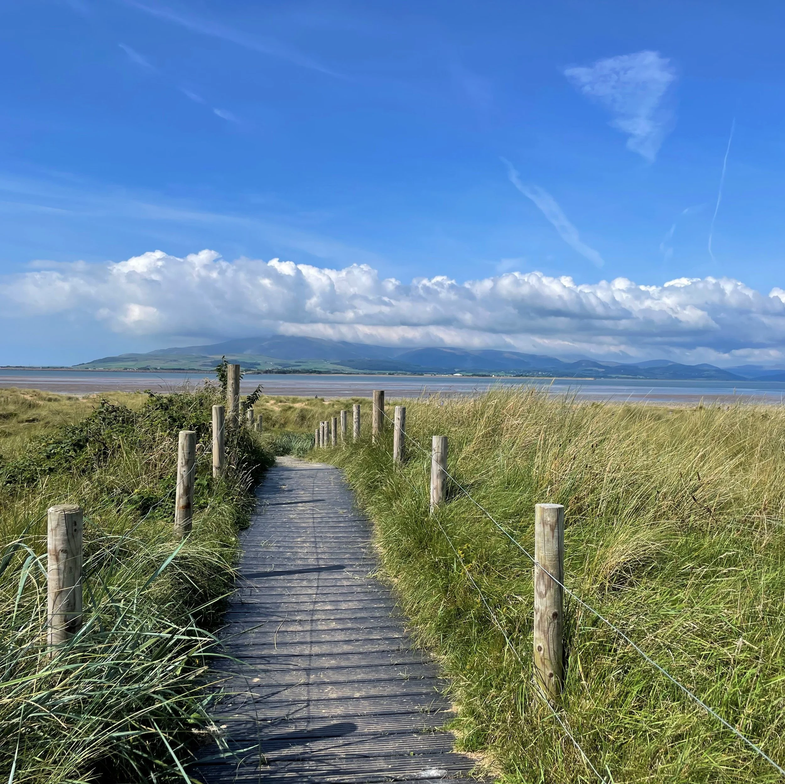 Wildlife Tours | Lake District & Morecambe Bay | Enjoying the Coast ...
