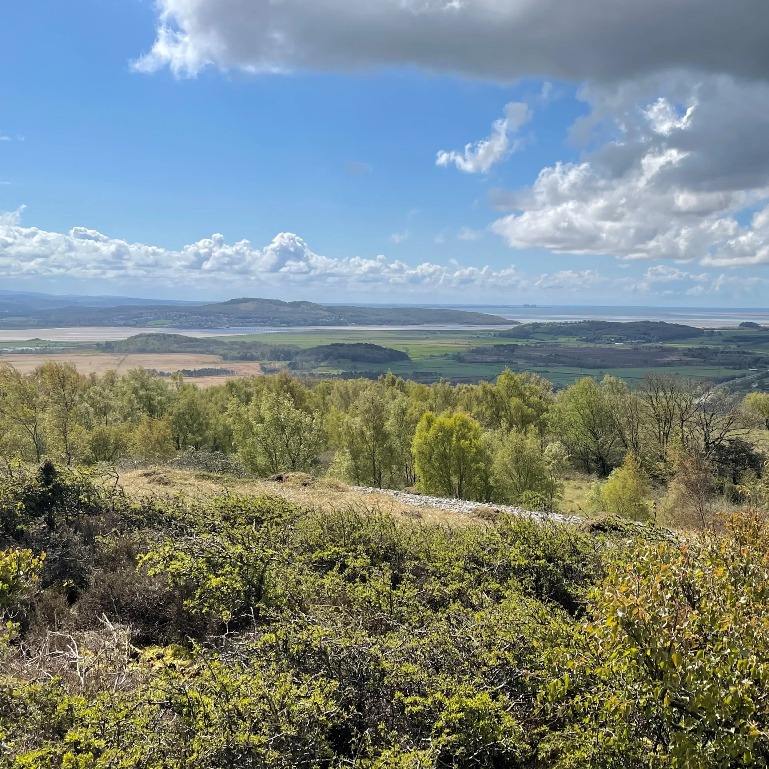 Wildlife Tours | Lake District & Morecambe Bay | Gallery — NaturesGems