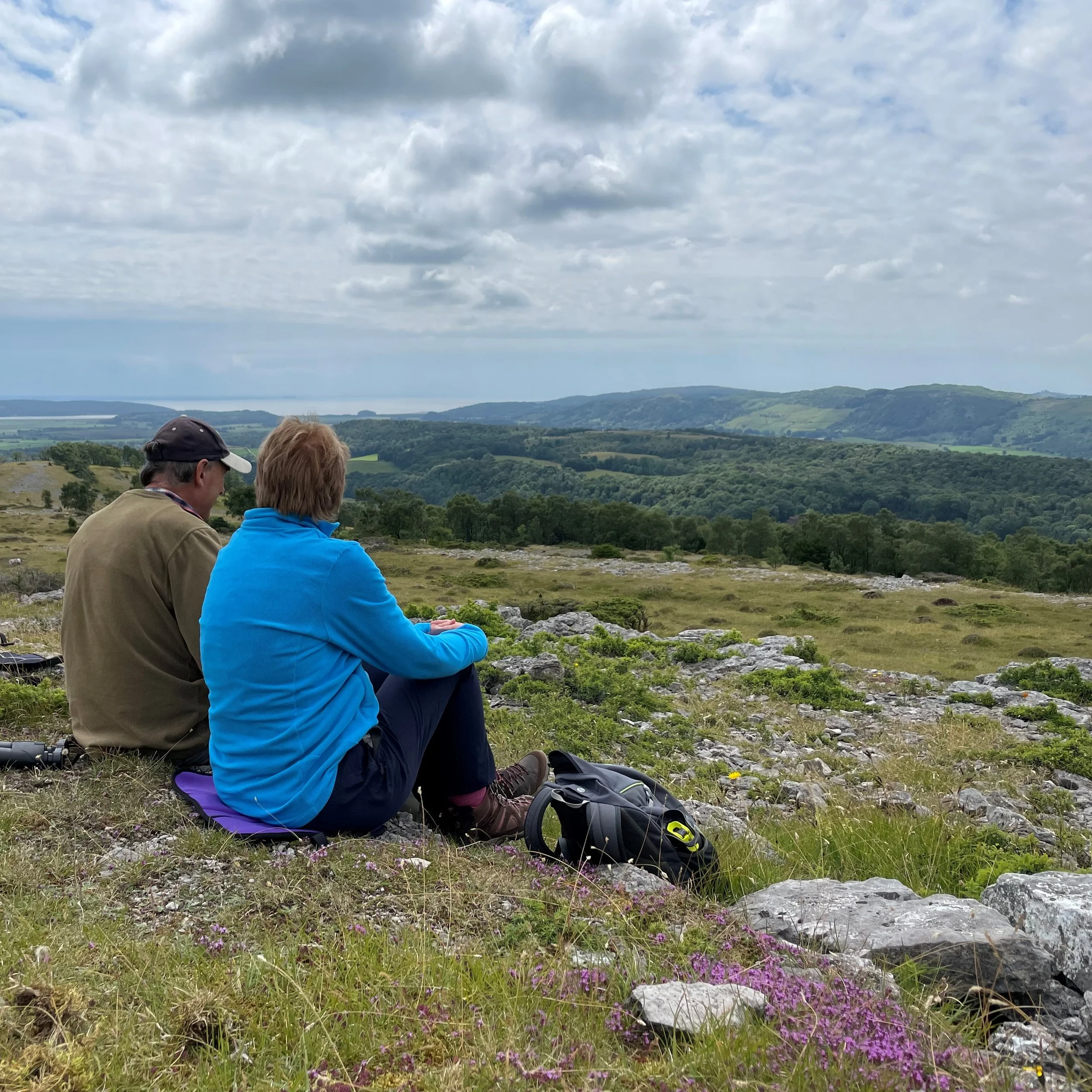 Wildlife Tours | Lake District & Morecambe Bay | Reviews — NaturesGems