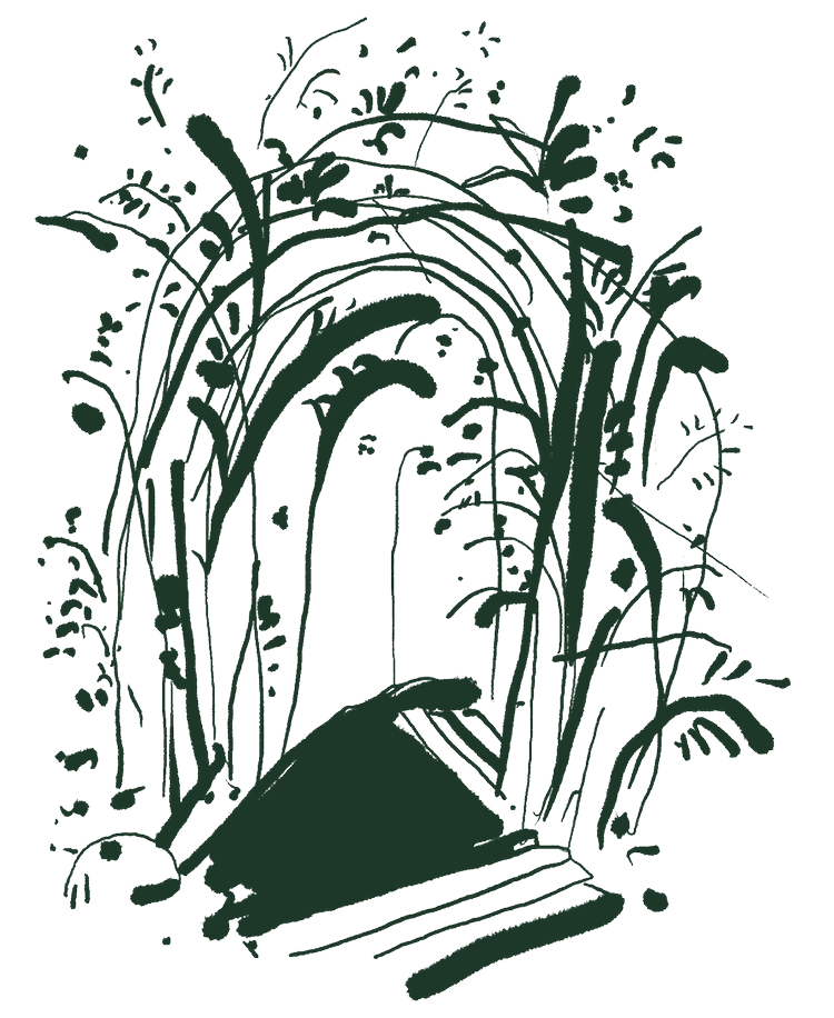 Bread & Jam — Walcot House