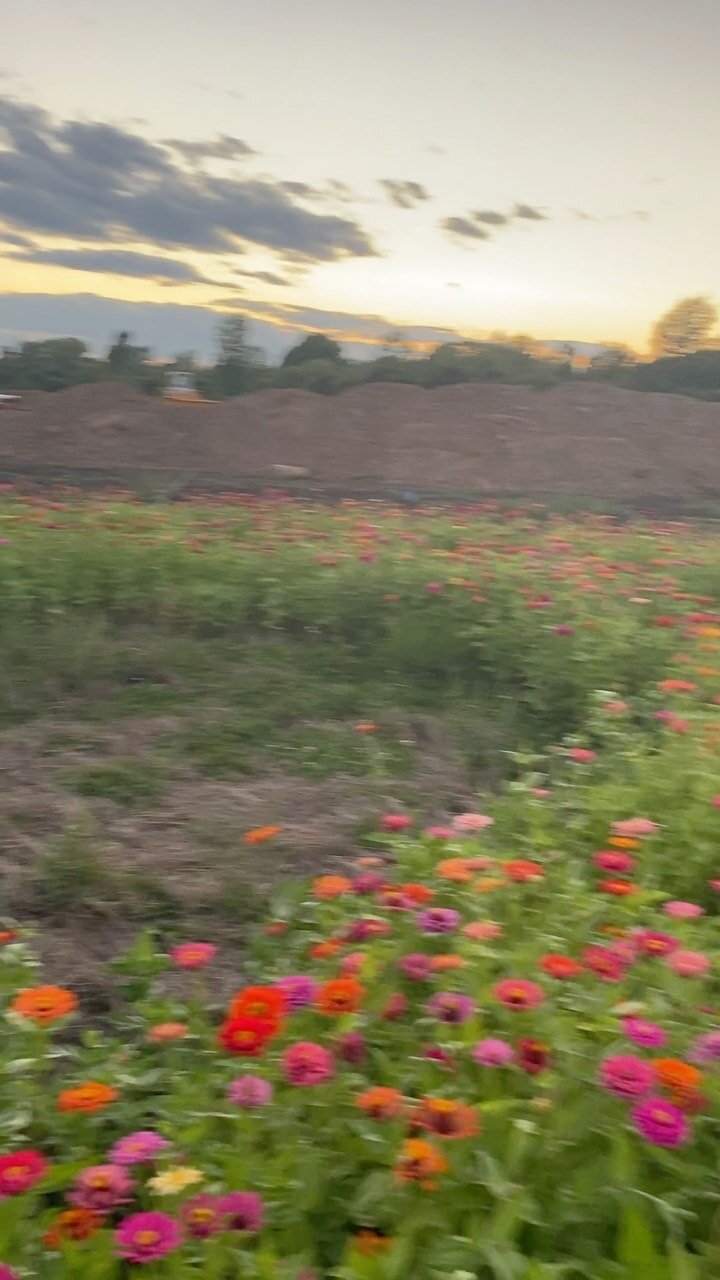 Goody Girl Flower Farm