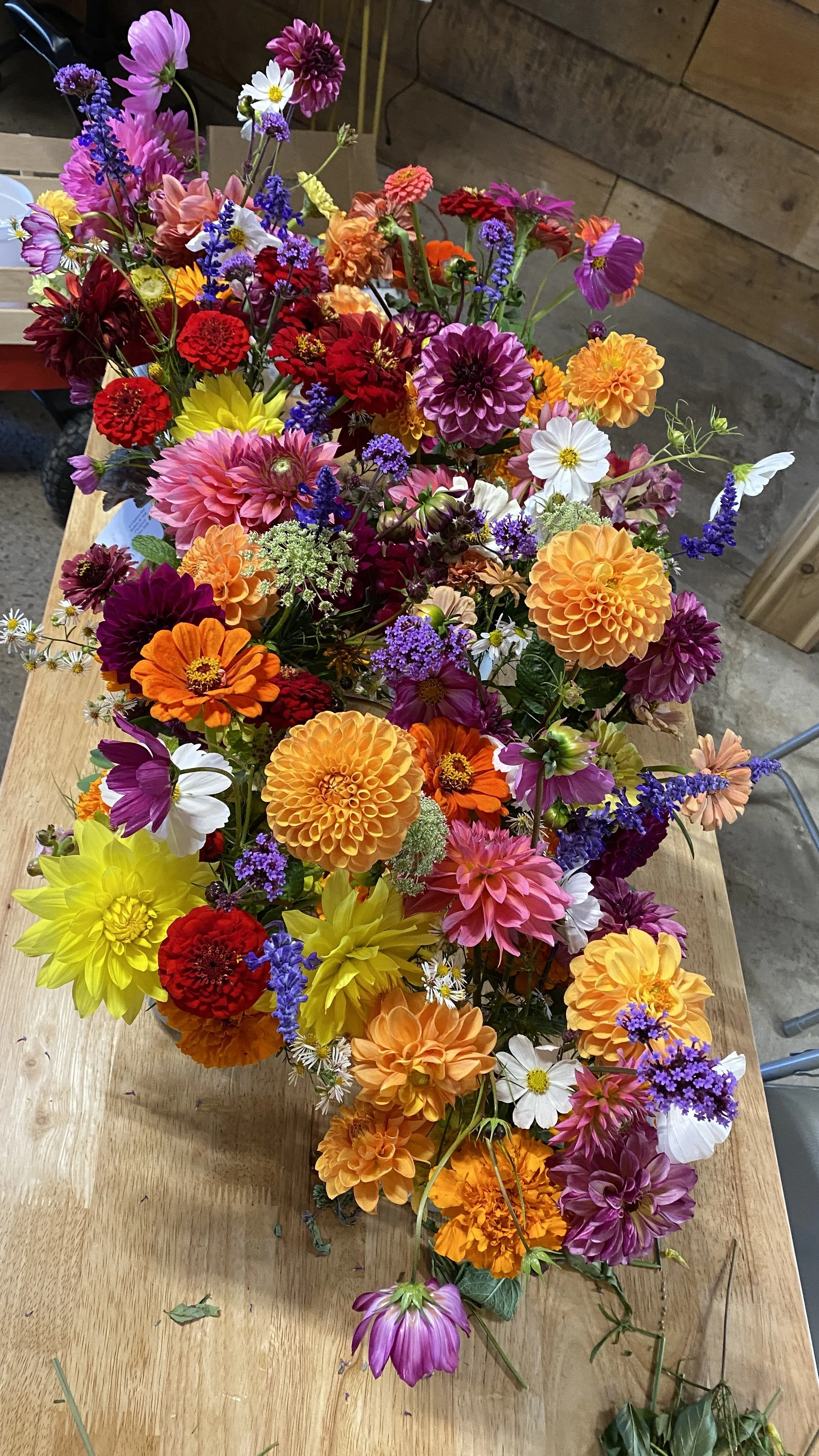 Gallery — Goody Girl Flower Farm