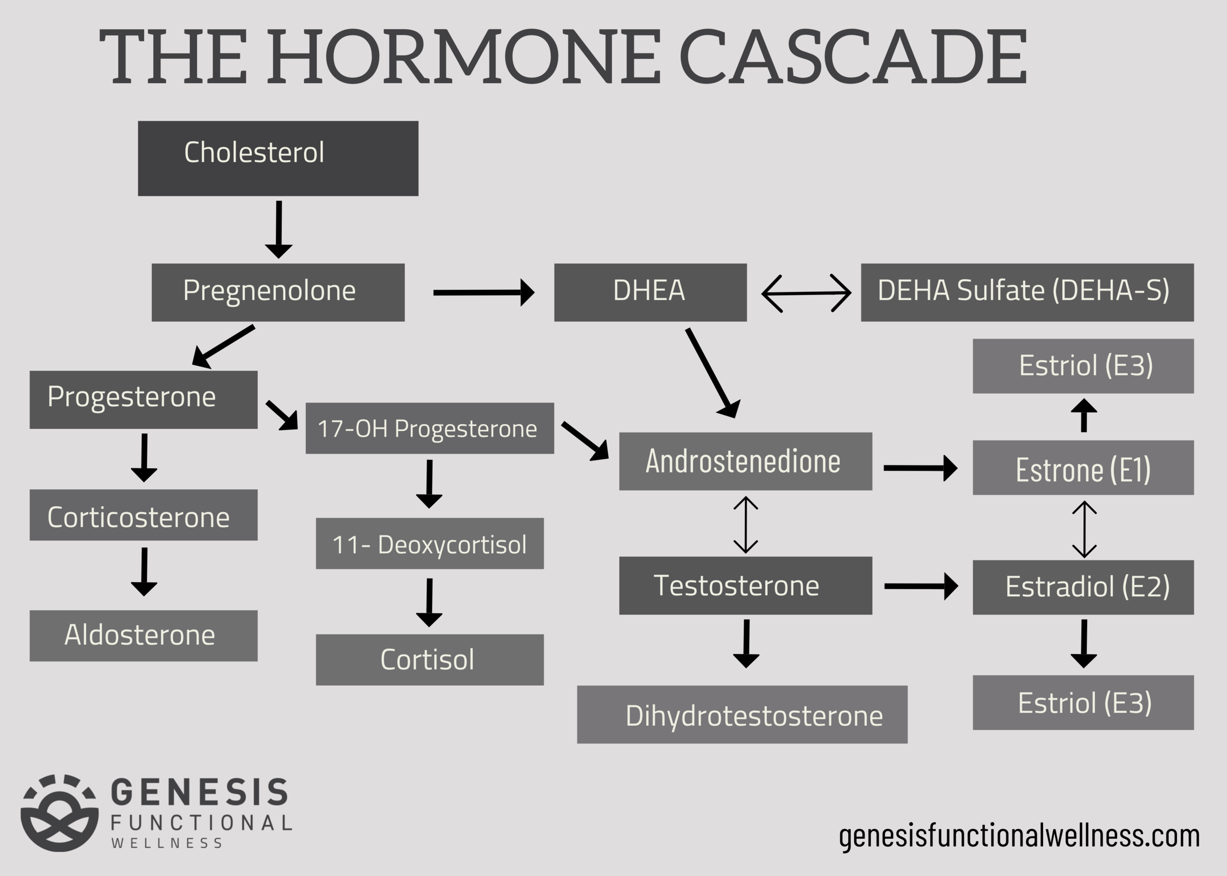A functional Medicine-Based Approach to hormone replacement therapy ...