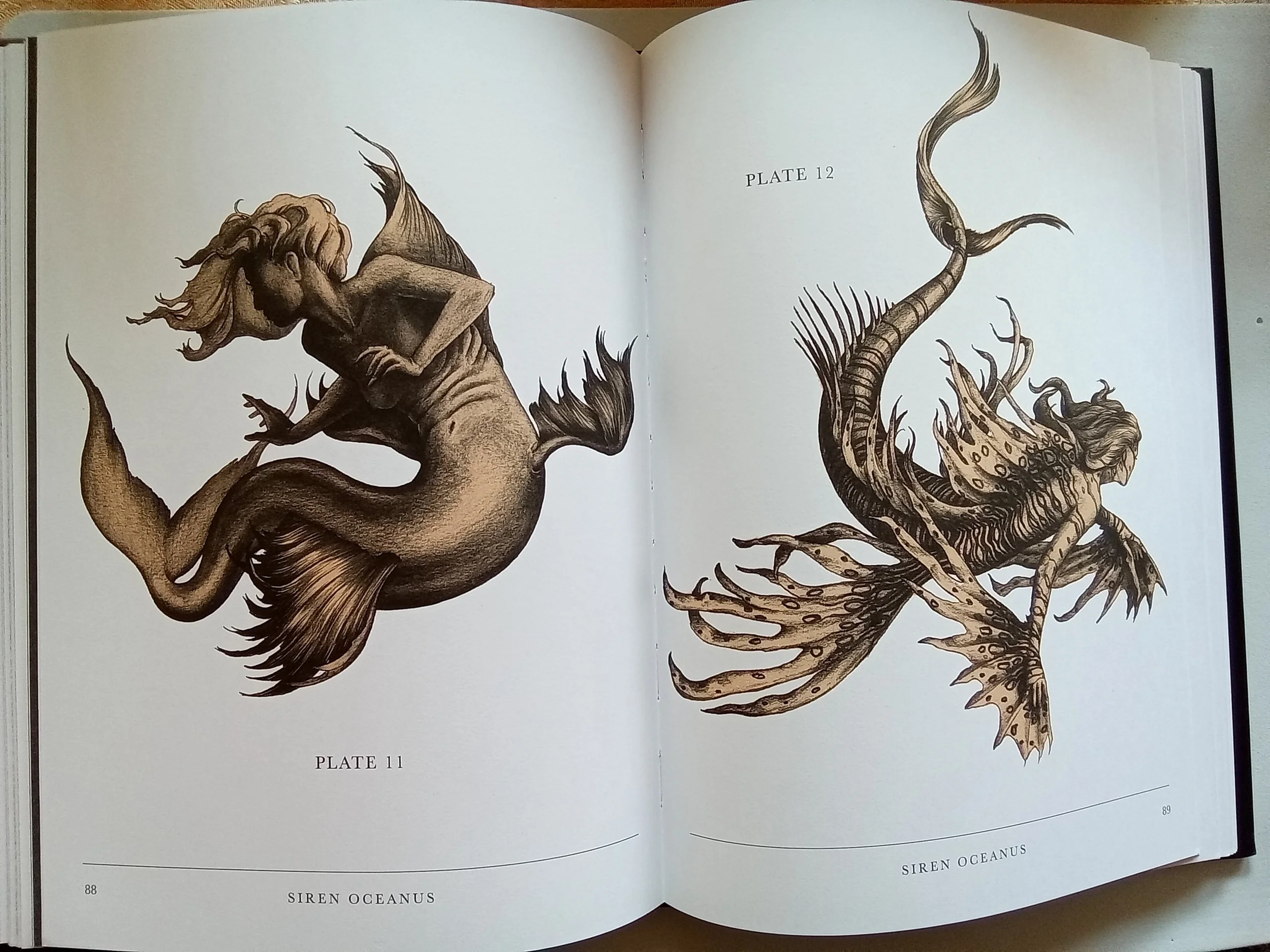 The Resurrectionist: The Lost Work of Dr. Spencer Black Hudspeth, E. B ...