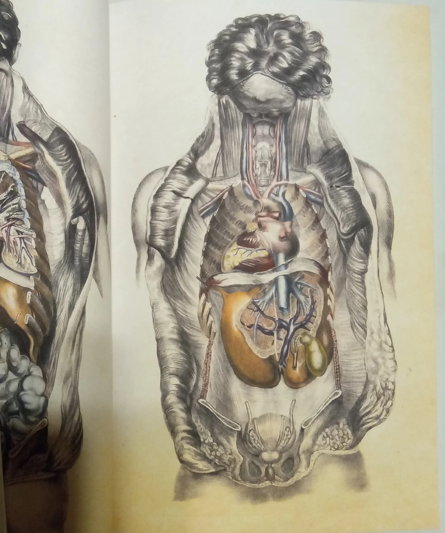 Infected by Art: Volume 1 — Joe the Tattoo Guy
