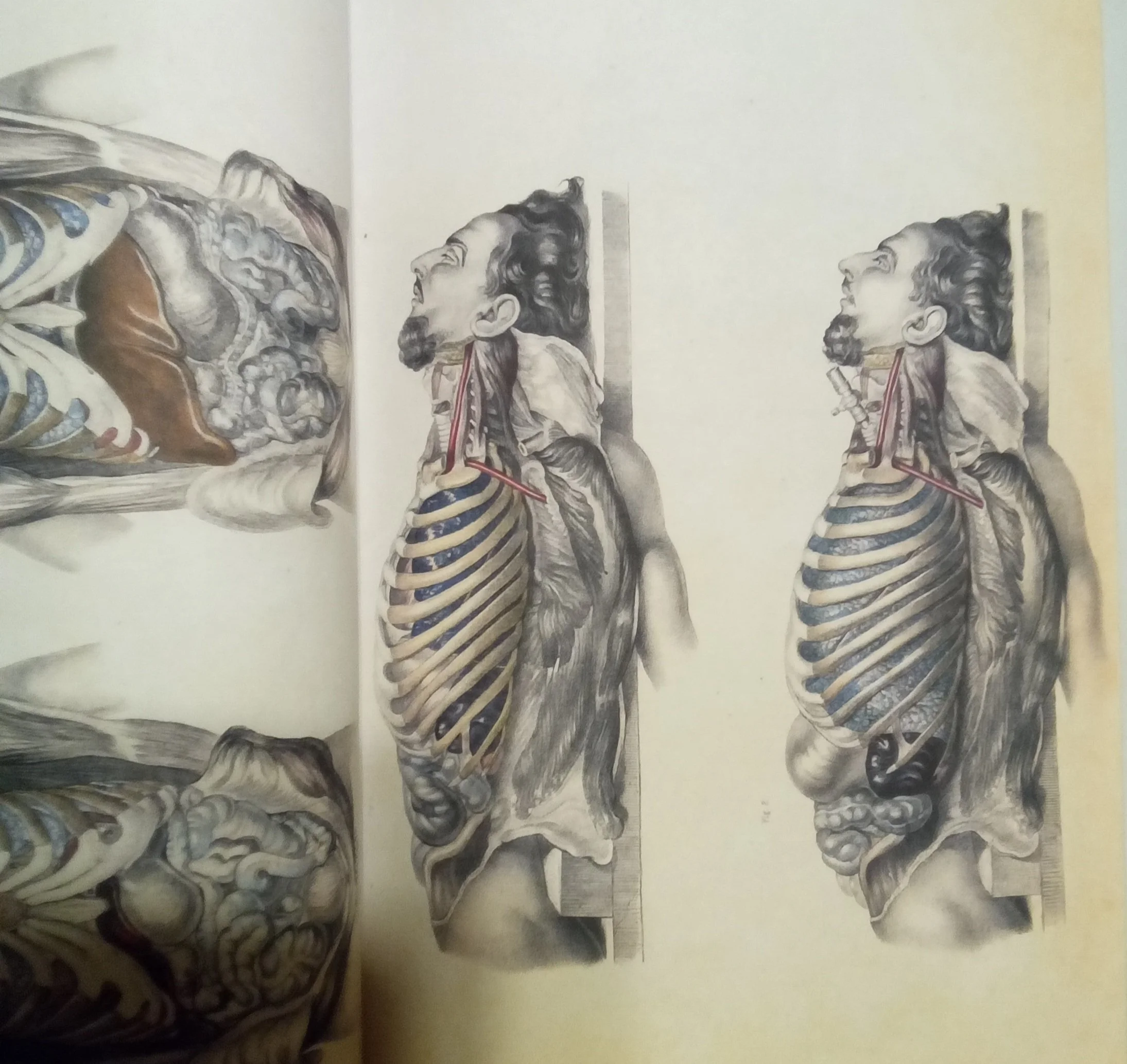 Infected by Art: Volume 1 — Joe the Tattoo Guy
