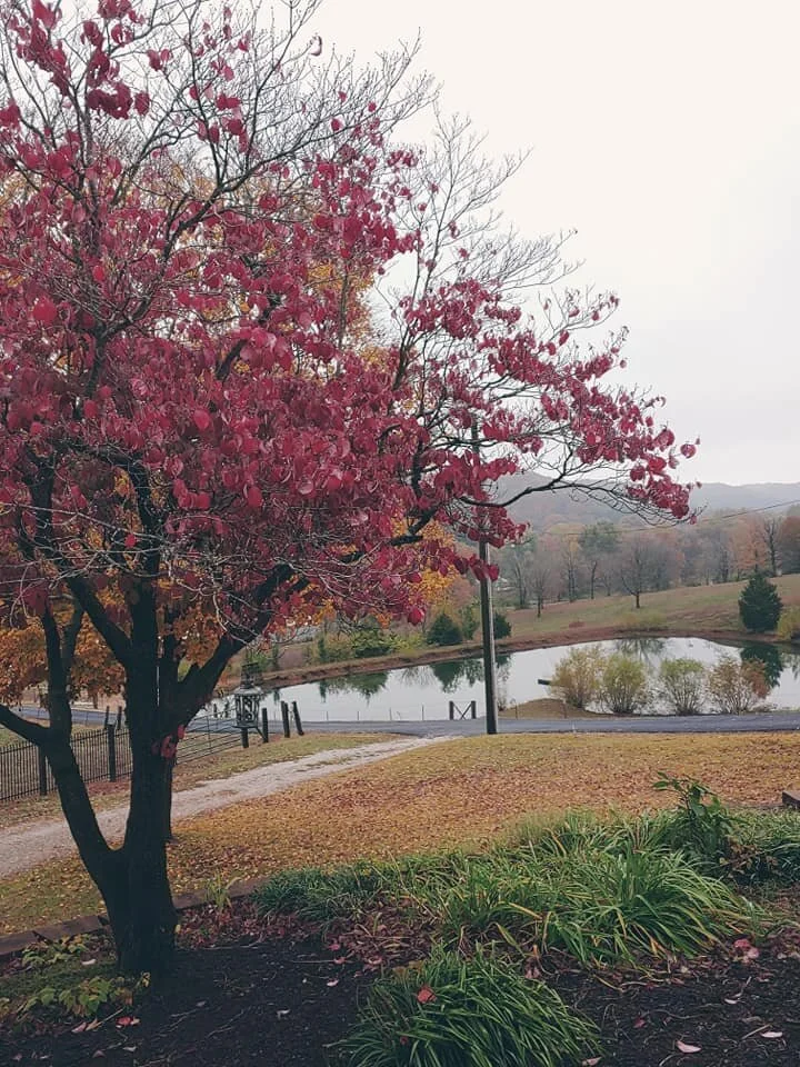 Blog 2 — Rocking J Venue - High Ridge MO.