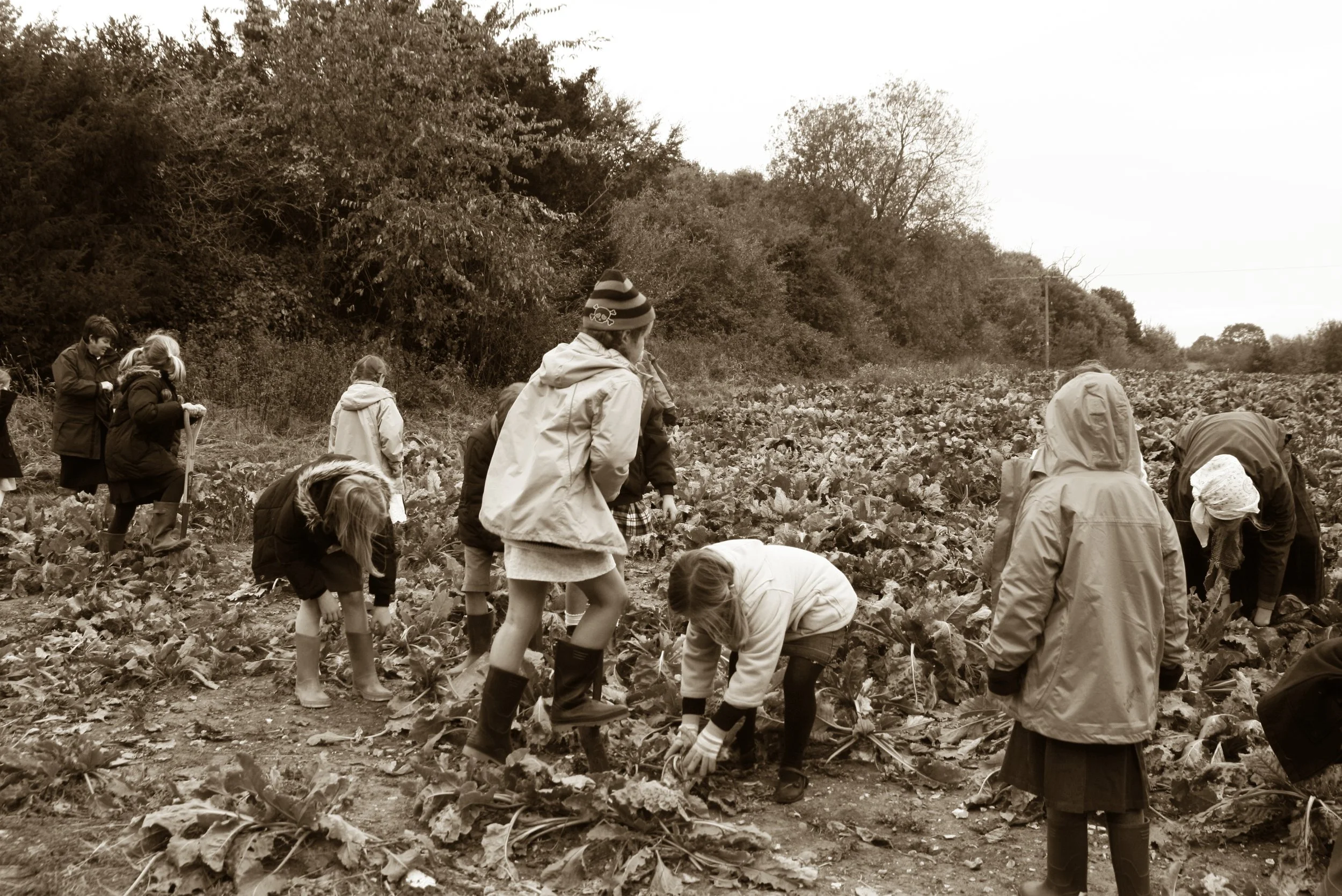 WWII school trip venue in Suffolk — Milden Hall