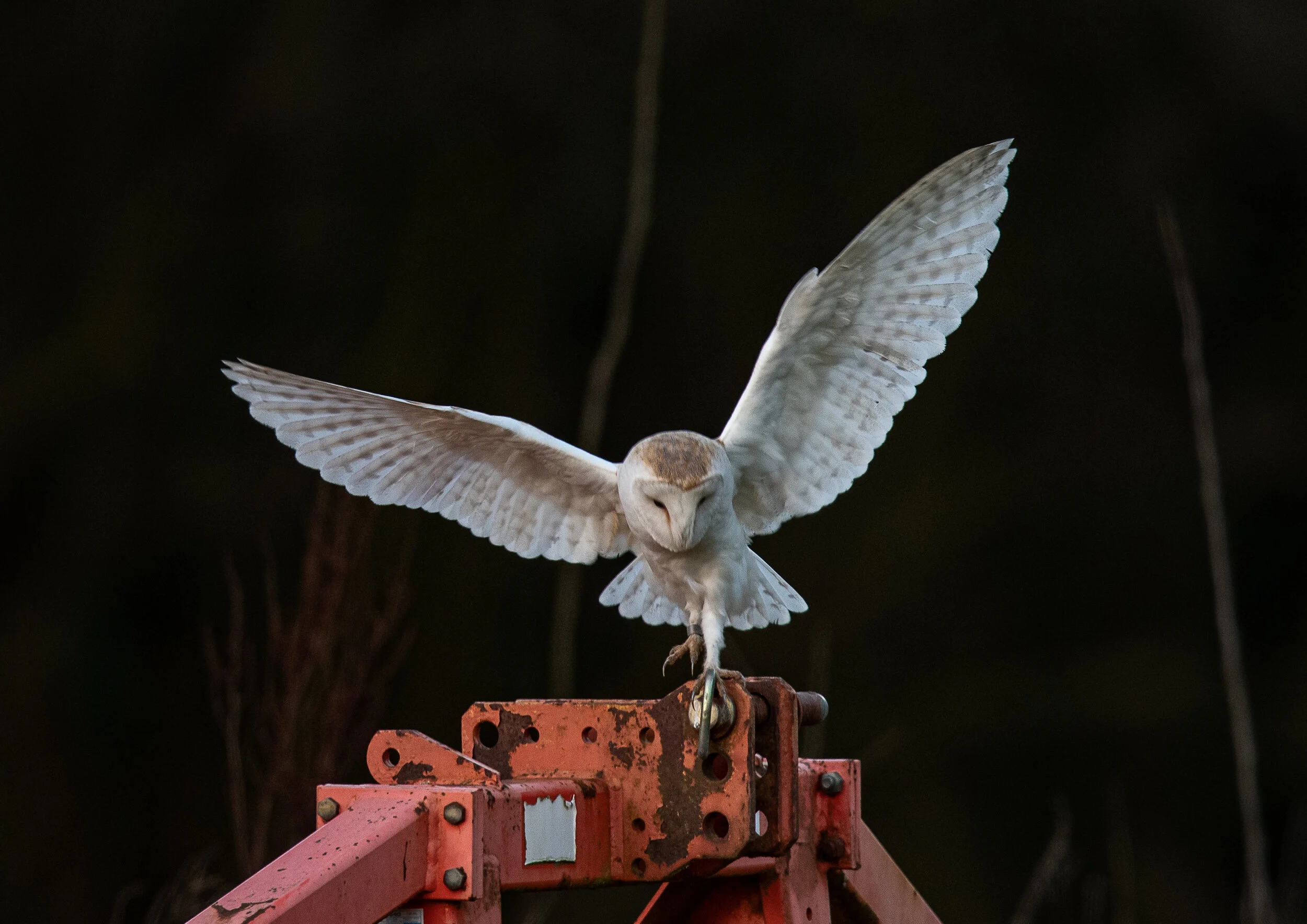 Farming & wildlife at Milden, Suffolk — Milden Hall