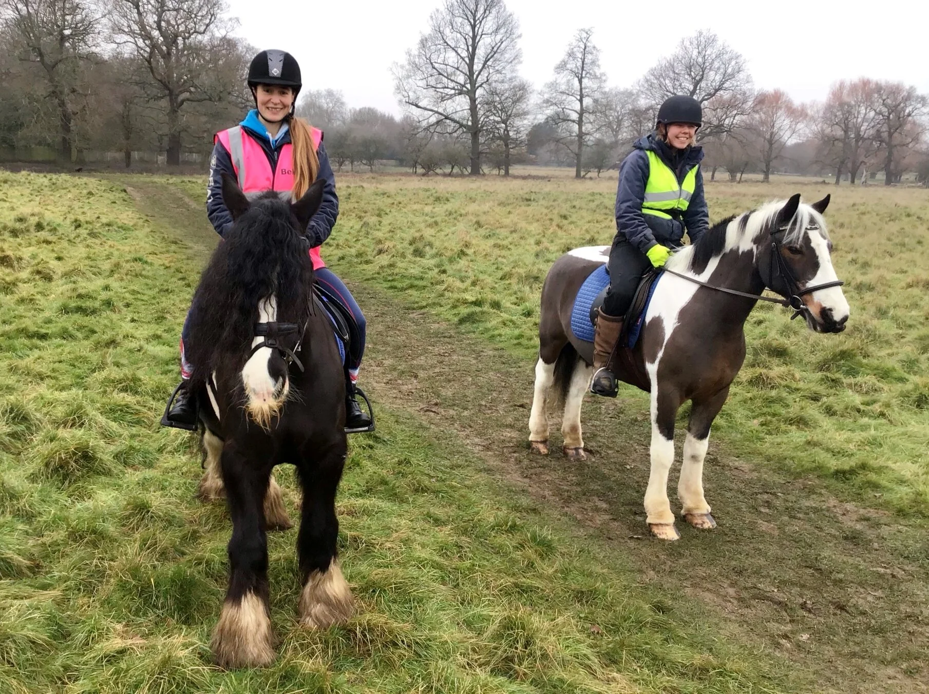 About — Park Lane Stables