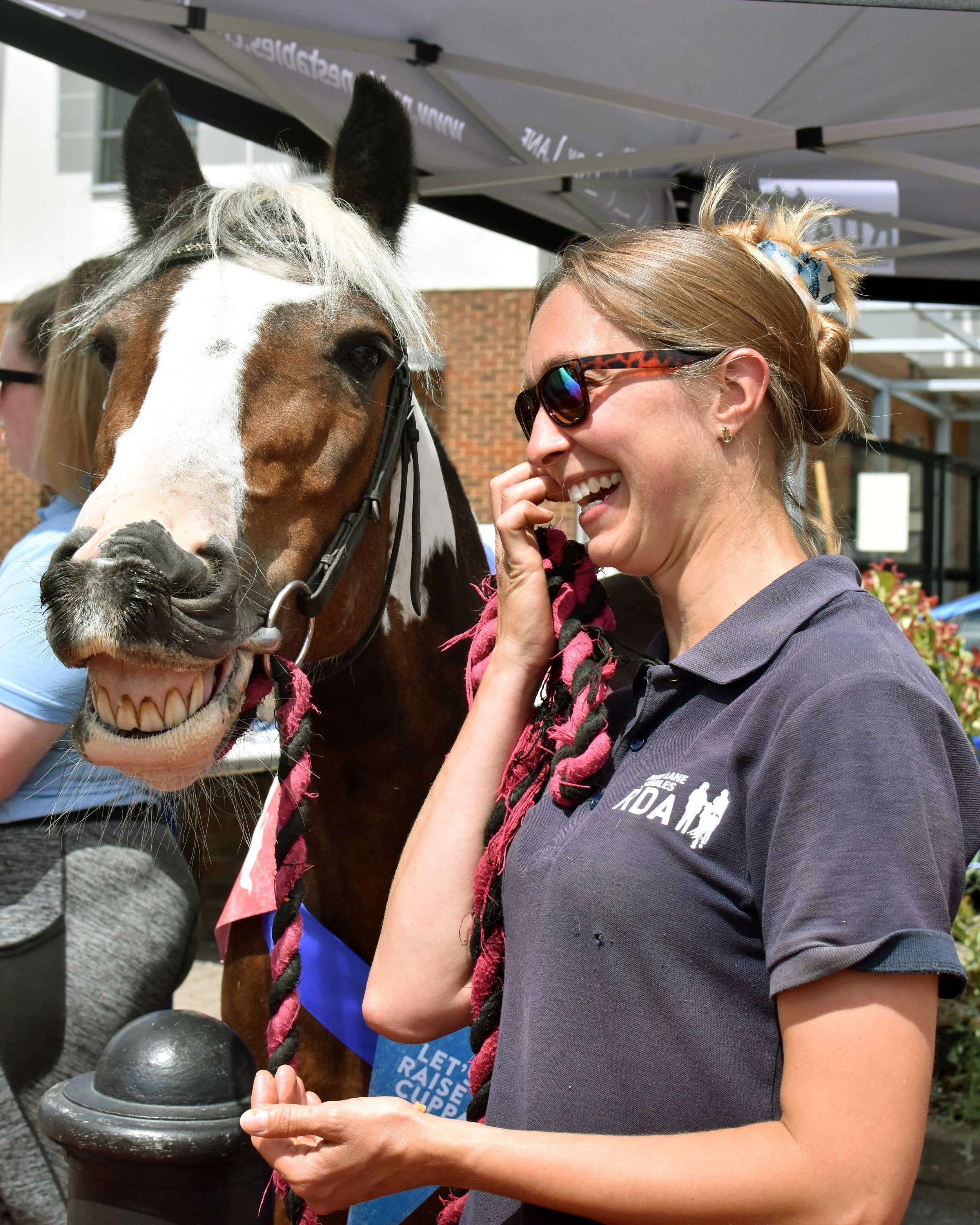 Why do horses grin?