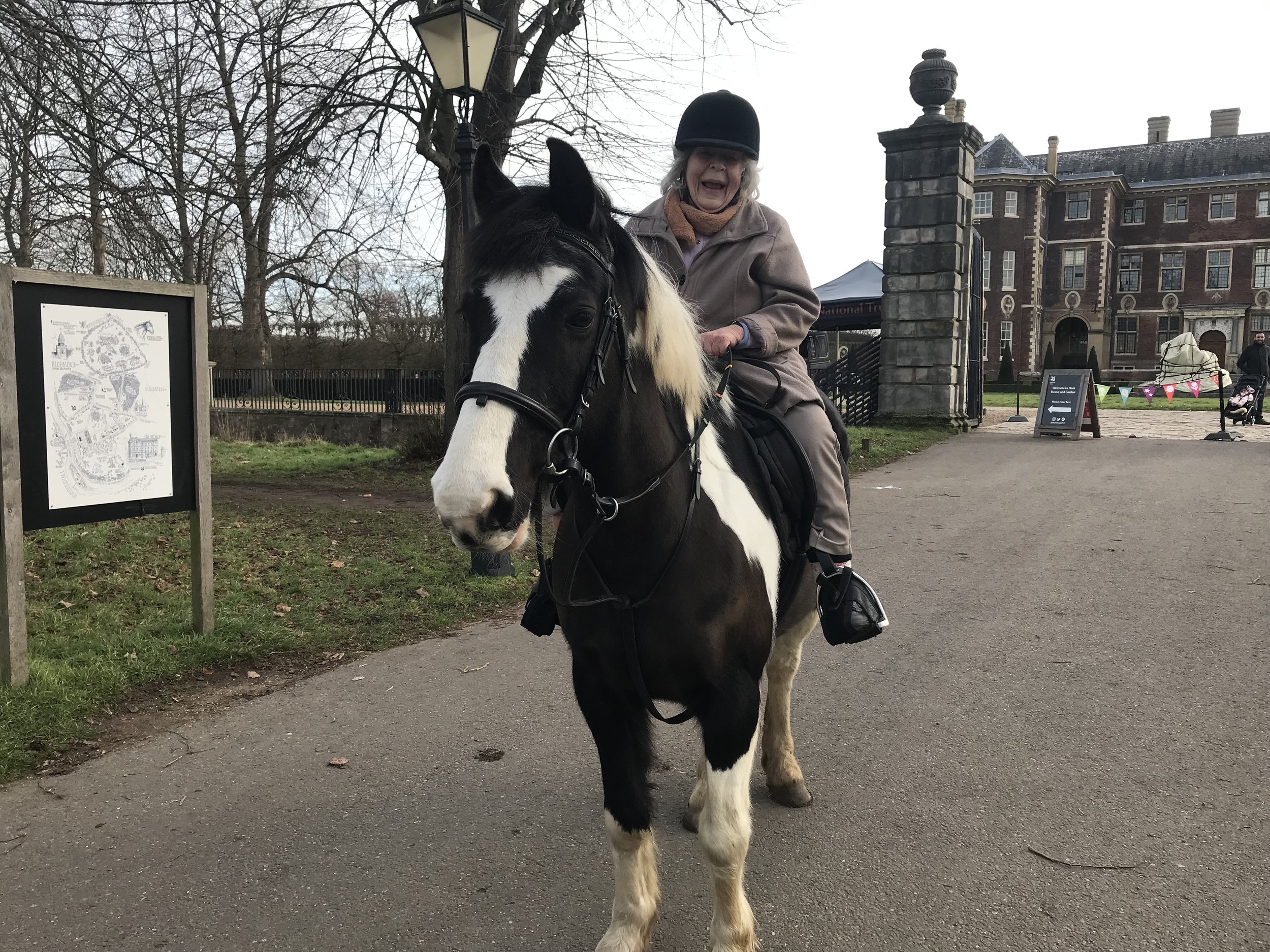 We say goodbye to Park Lane’s oldest regular visitor — Park Lane ...