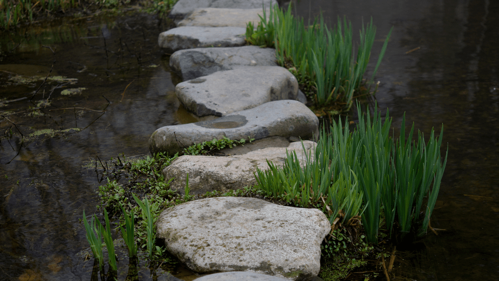 Membership — PORTICO Community Church