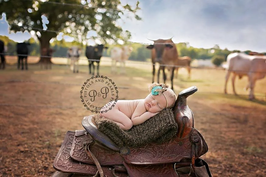 Farm Animal Photography