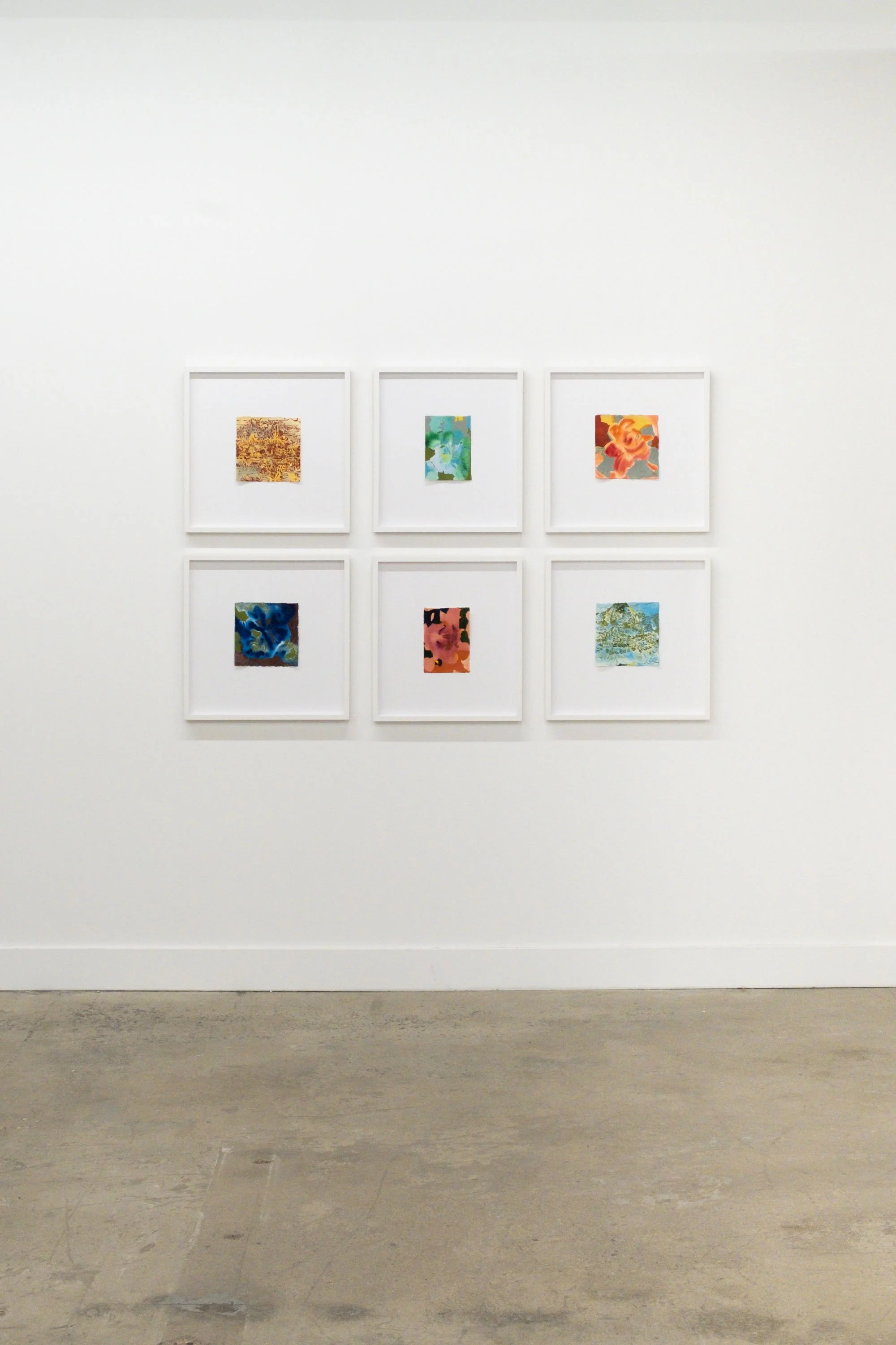 Newsletter Sign Up — Dianna Witte Gallery