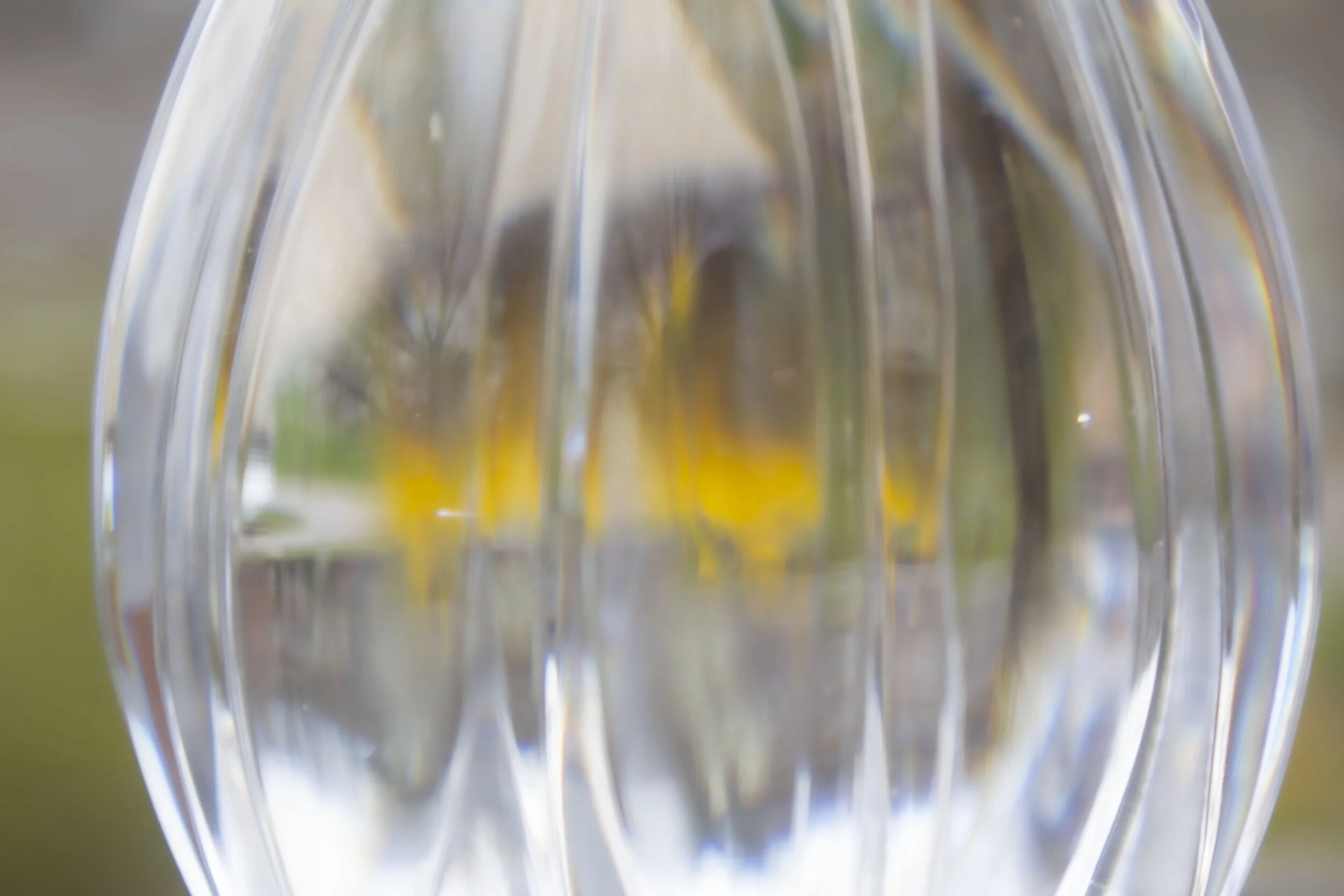 Shannon Devlin's Portfolio