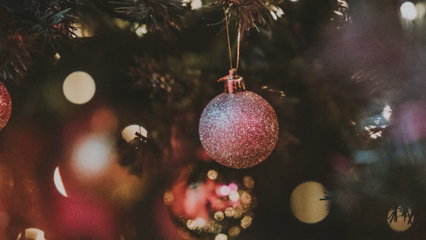 Shannon Devlin's Portfolio