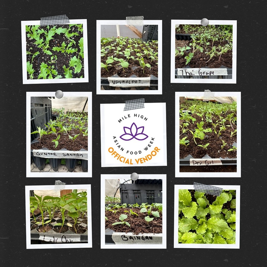 Switch Gears Farm - Follow Our Journey — Switch Gears Farm