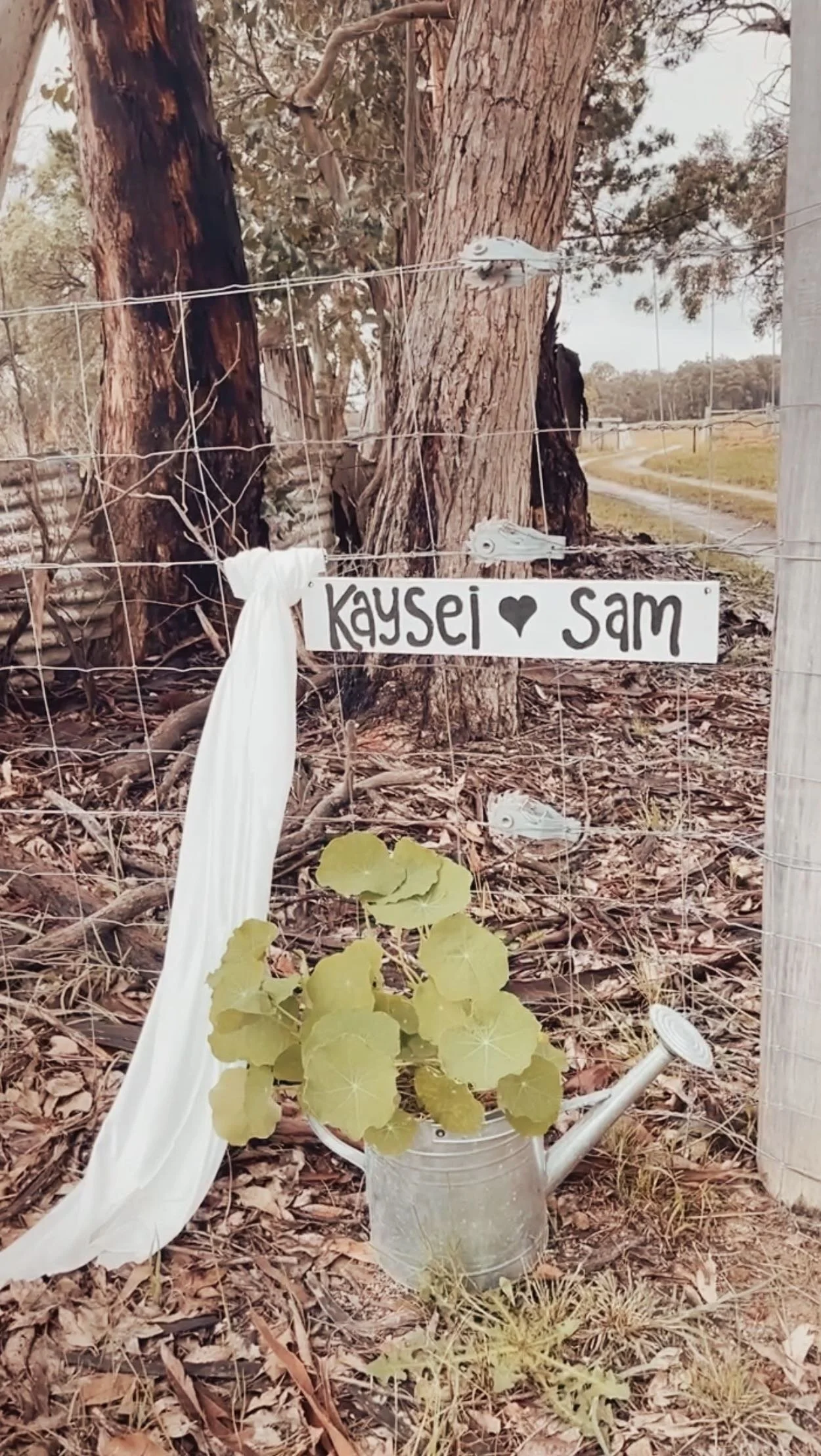 Georgia Rose Ceremonies