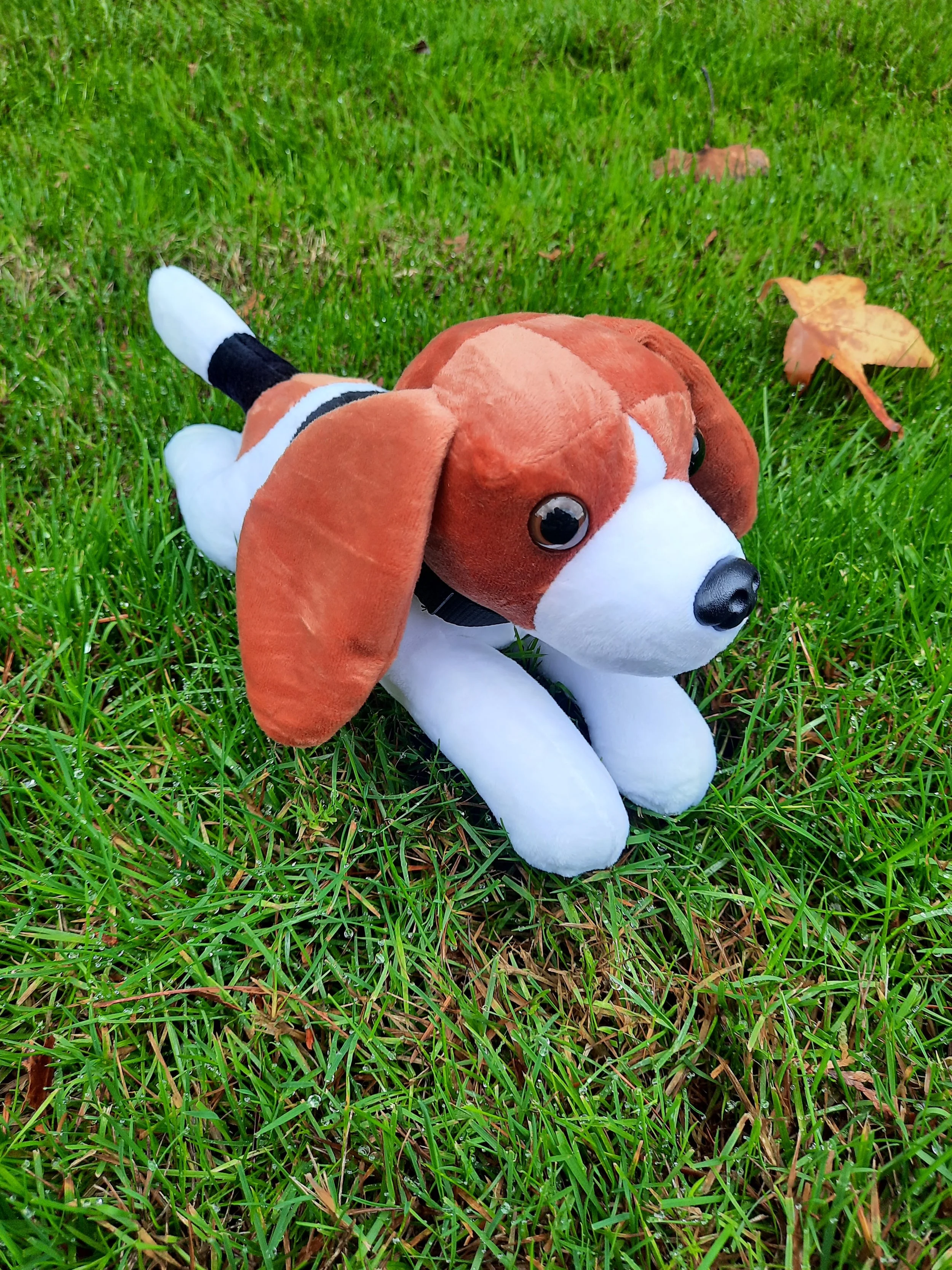 Adventure Agent Shop — Adventure Agents