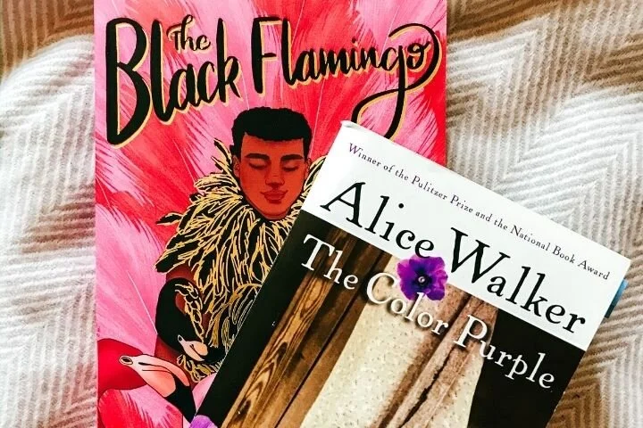 Why Diversity and Representation in Literature is so Important — On ...
