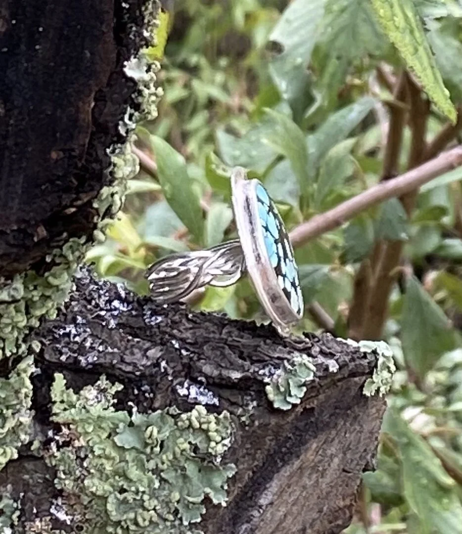 Store 2 — The SilverRen