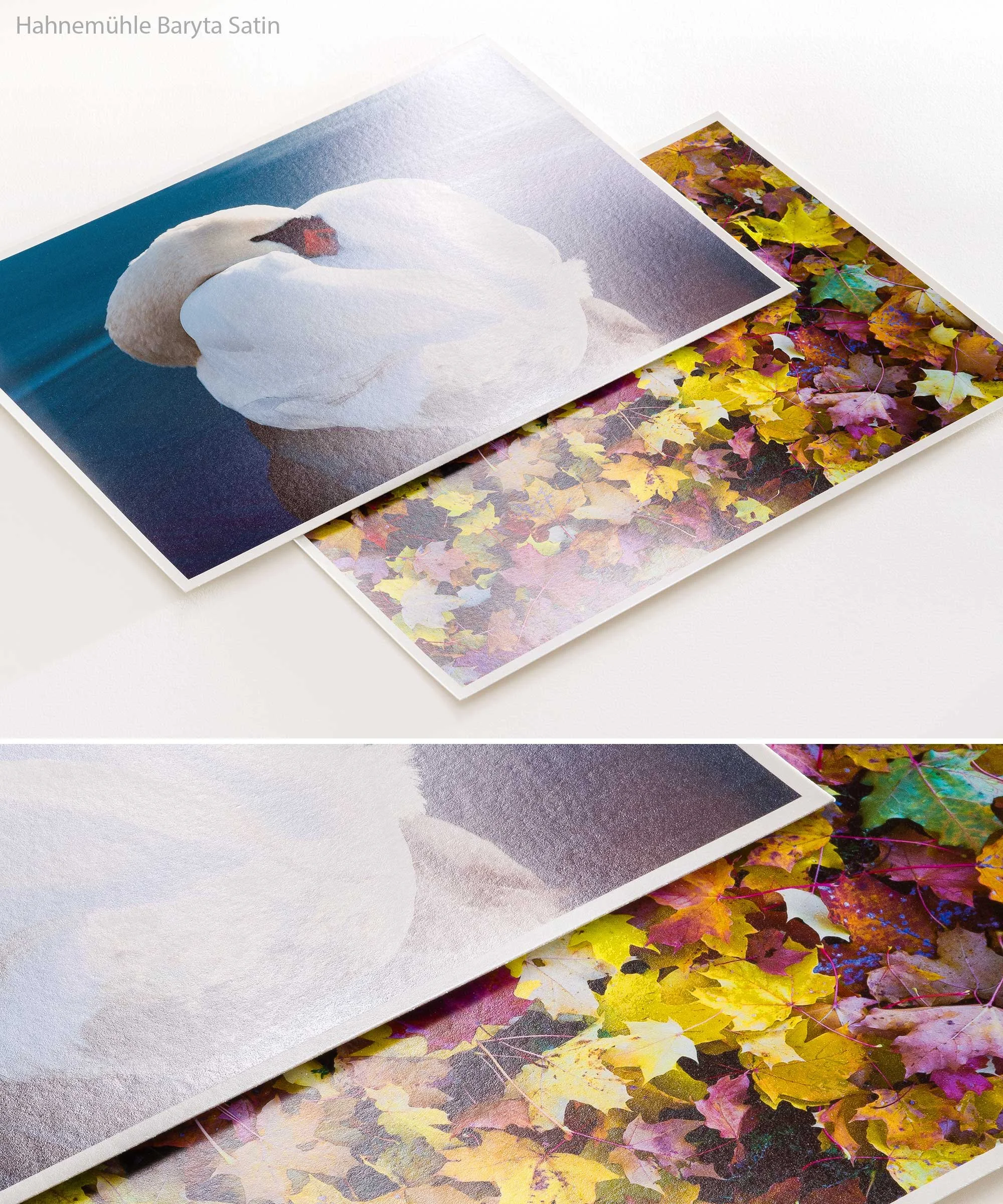 Giclée Printing — GENTA Art Prints