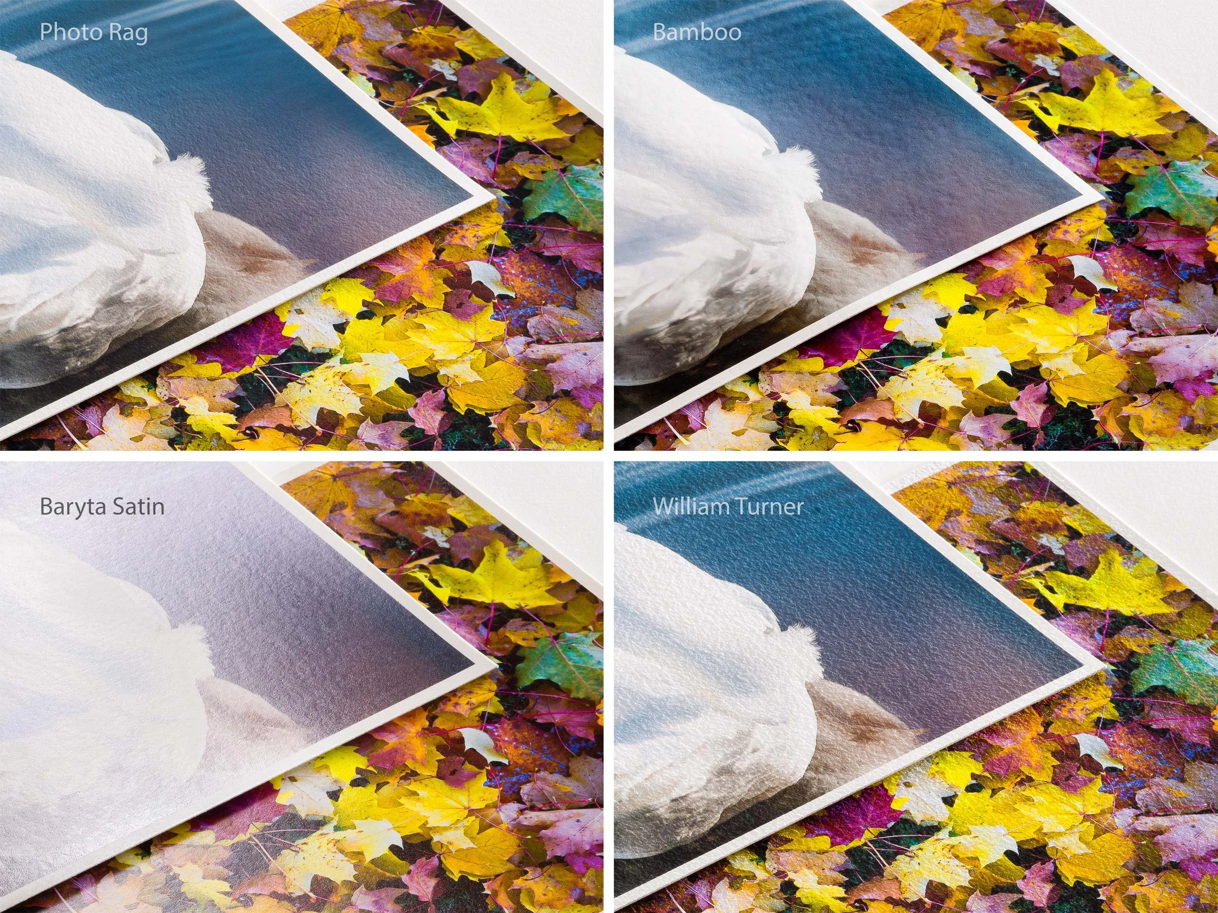 Giclée Printing — GENTA Art Prints