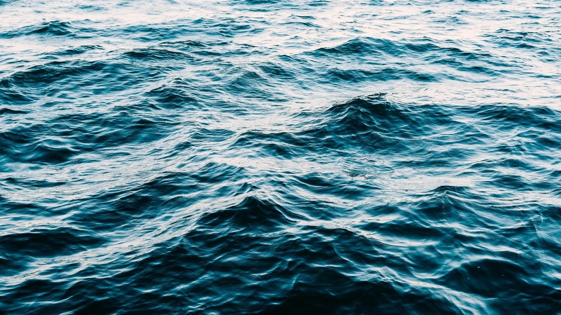 Biotope Mapping — Marine Mammal Foundation