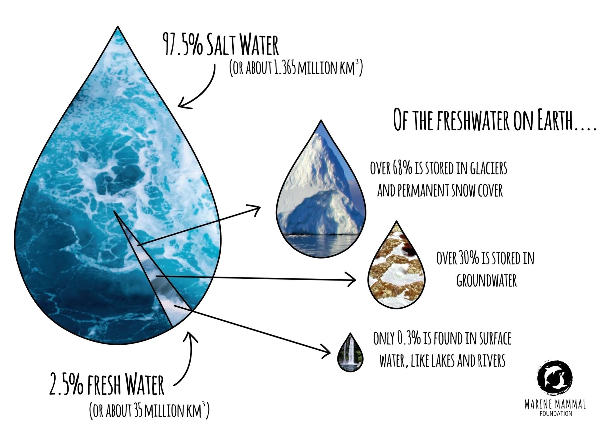 Support Local Biodiversity: Life Below Water — Marine Mammal Foundation