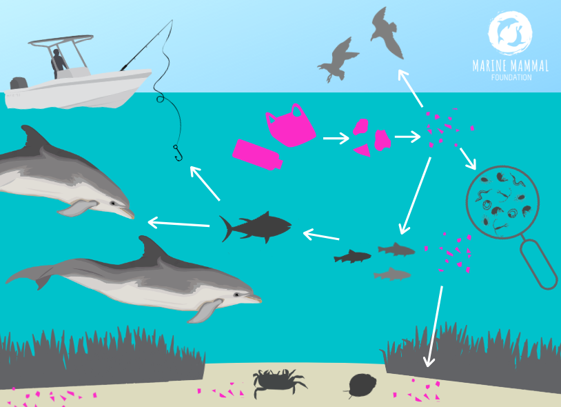 The Good, the Bad and the really ugly of Plastics: Part 2 — Marine ...