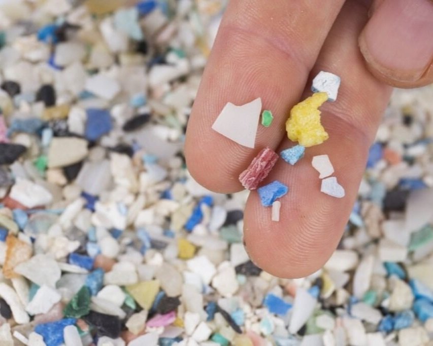 National Recycling Week: Microplastics — Marine Mammal Foundation