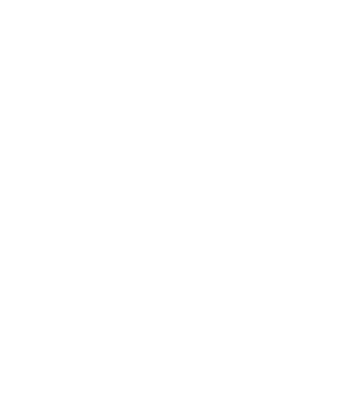 Secure State Cyber - Professionella cybersäkerhetstjänster