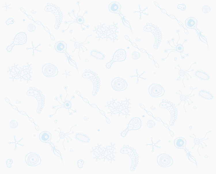 Let's Meet Bacteria — Superbugs - The microbial world in, on and around us