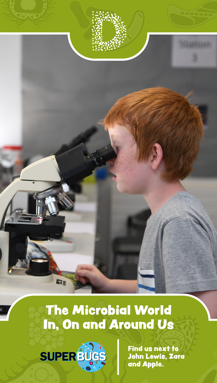 Pop-Up Shop 2025 — Superbugs - The microbial world in, on and around us