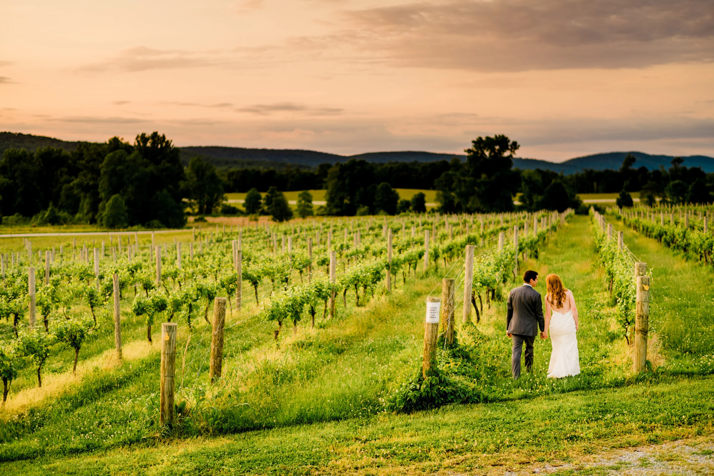 Wedding Portfolio — Ida Rose Events & Design