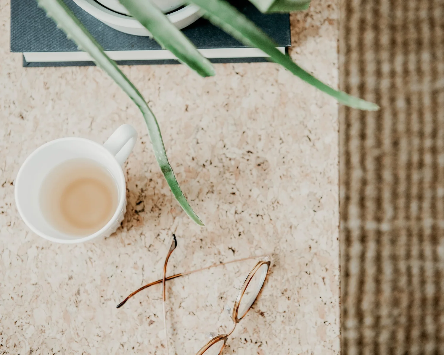 25 Nutrition Business Ideas for 2025 — Stephanie Long, Nutrition ...