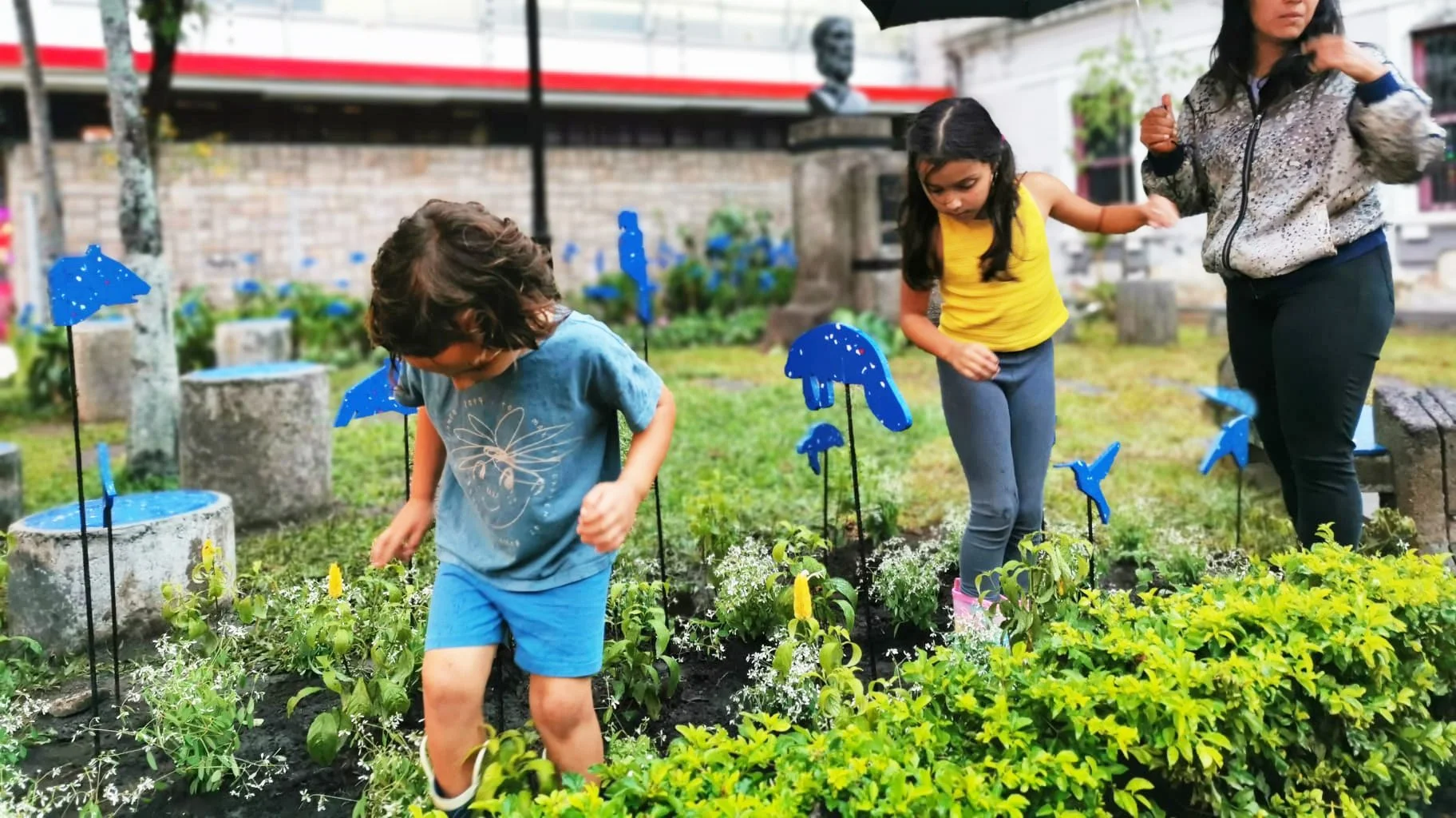 Bosque Vivo — mmmwork