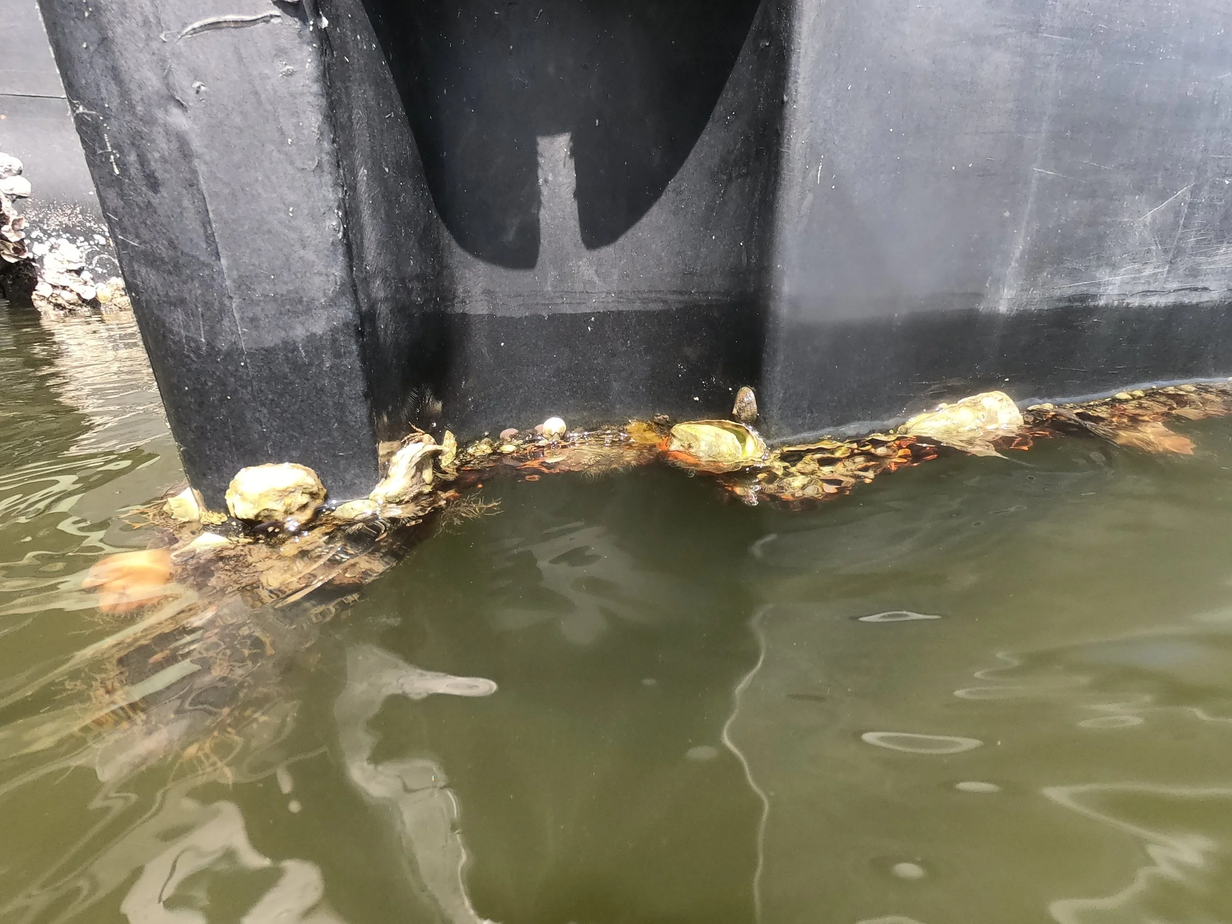 Floating Docks Diving Services