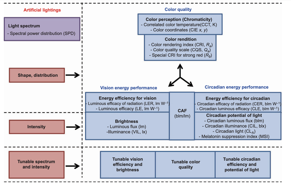 Mendesain Mengukur Pencahayaan Interior Circadian Rhythm Light