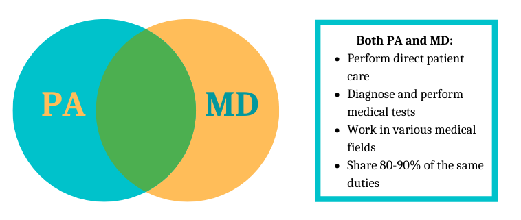 MD vs PA: What are the Differences and Similarities — iGotIn
