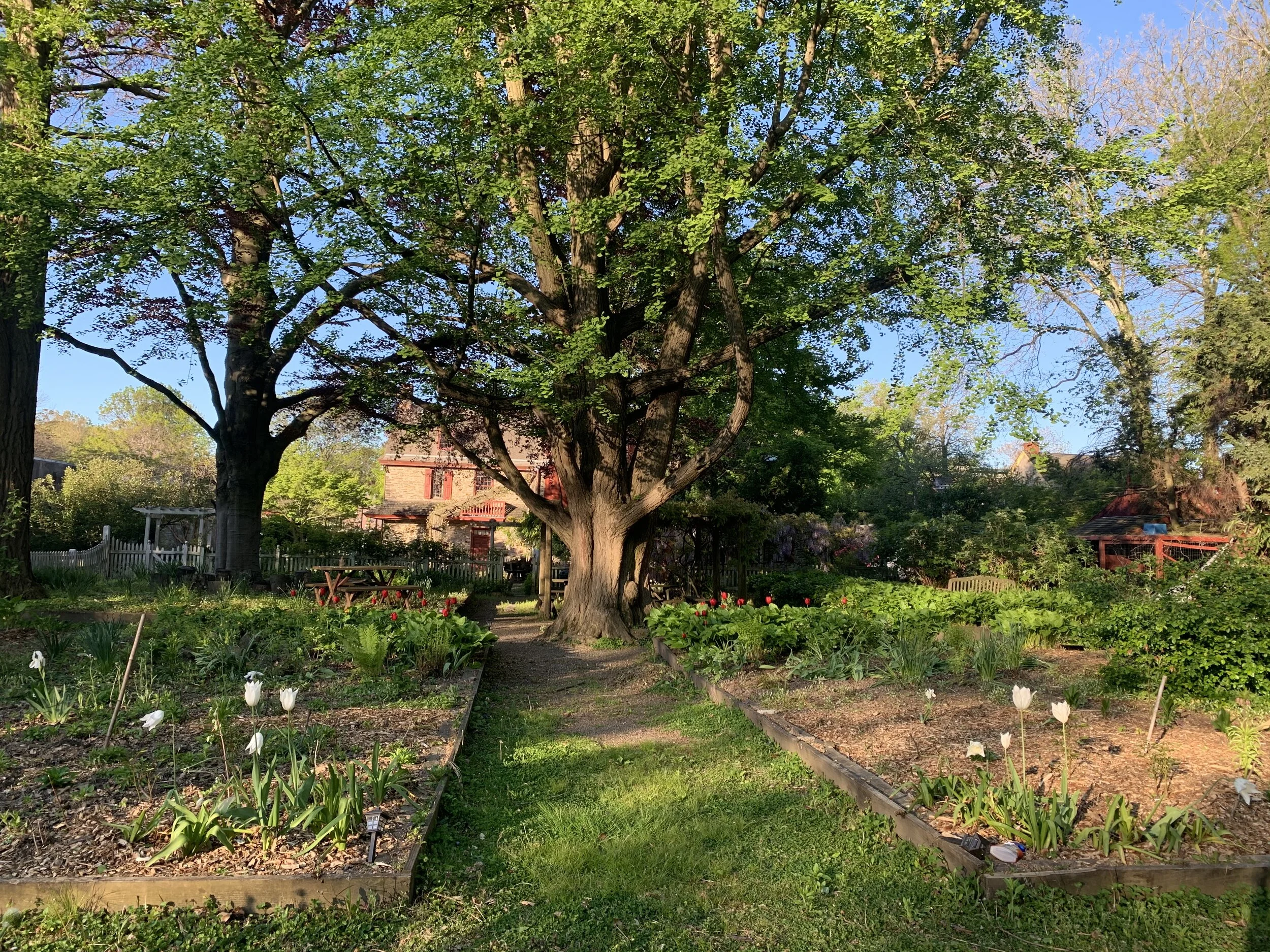 Education Programs — Philadelphia Society for the Preservation of Landmarks