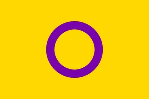 Pride Flags: How well do you know them? — Ikigai Authentic Ltd.