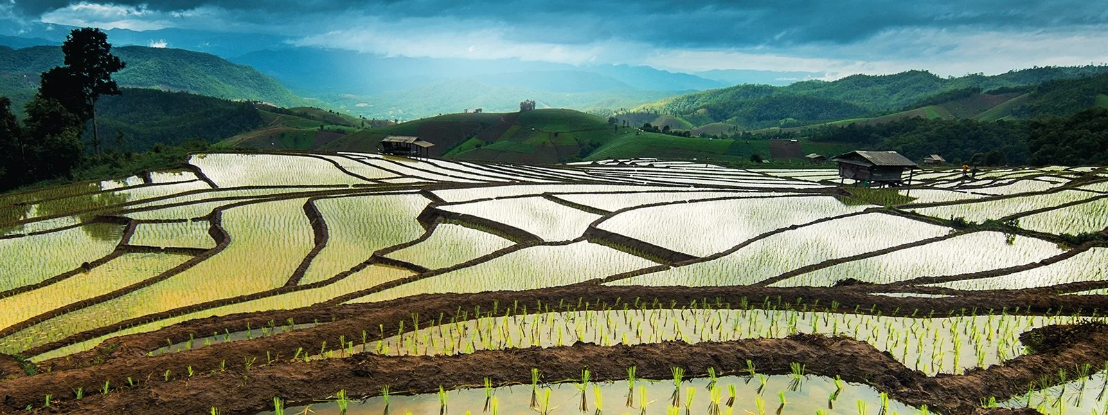 KS4 Geography — Ysgol Bro Dinefwr