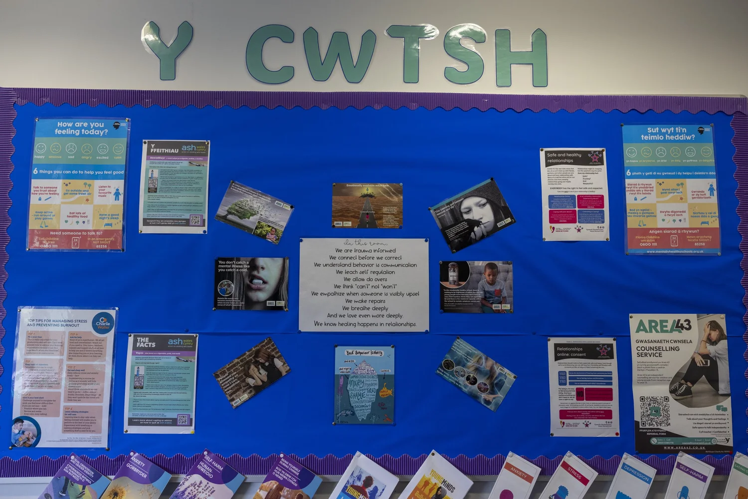 Behavioural Support — Ysgol Bro Dinefwr